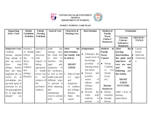 Sample Family Nursing Care Plan - TABLE 5 SAMPLE FAMILY NURSING CARE ...