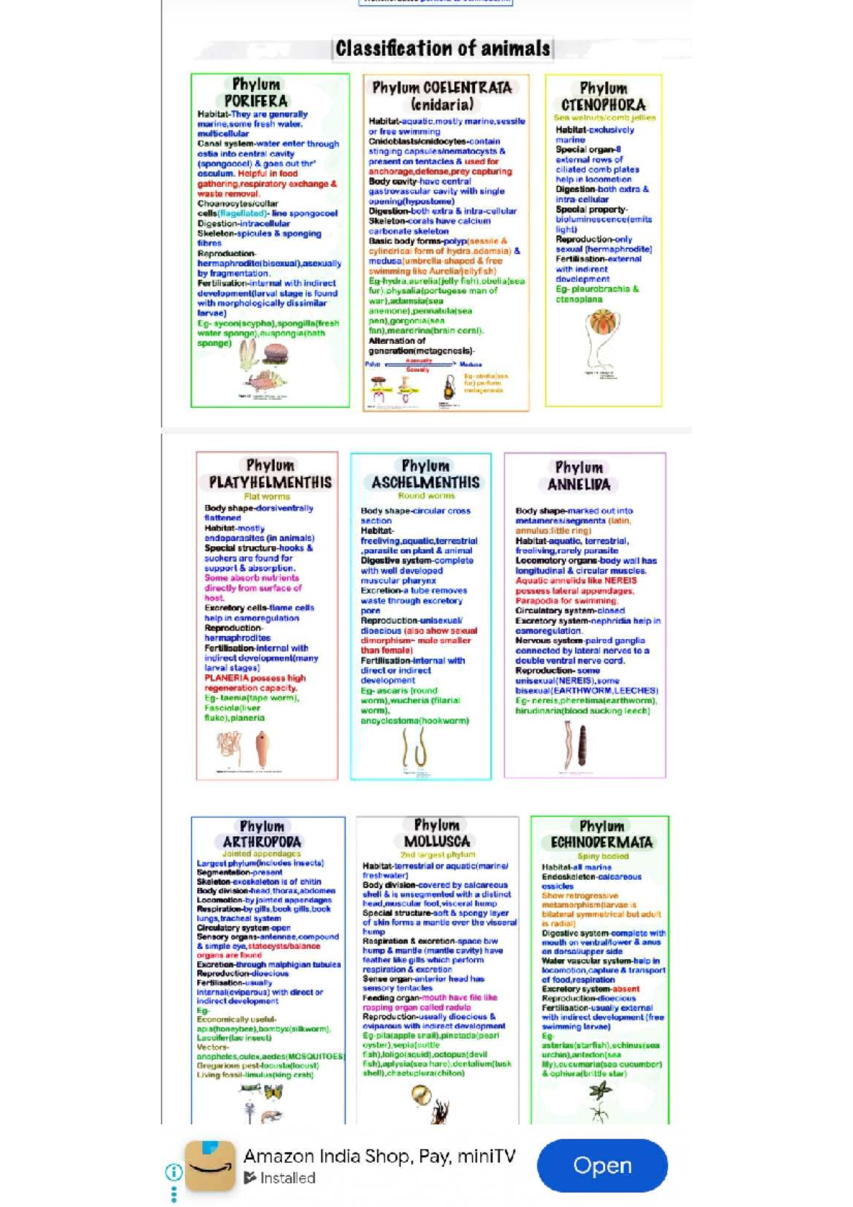 Animal Classification and Plant Growth: A Comprehensive Study (BIO101 ...