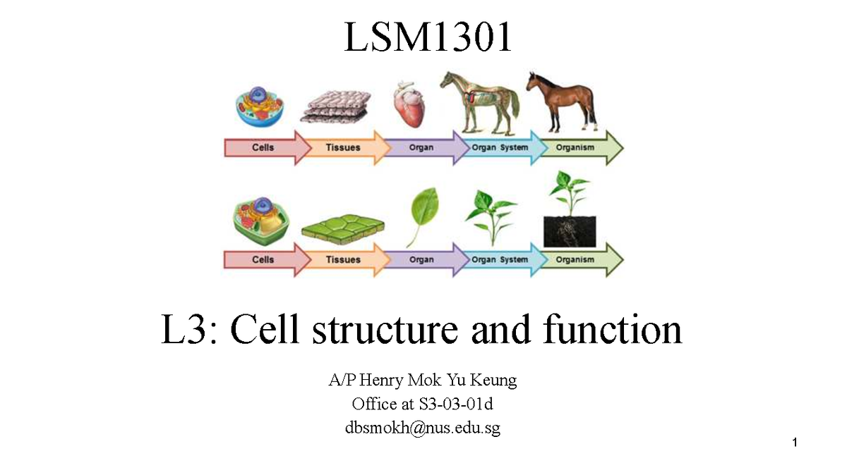 LSM1301 Lecture 3: Cell Structure and Function Overview - Studocu