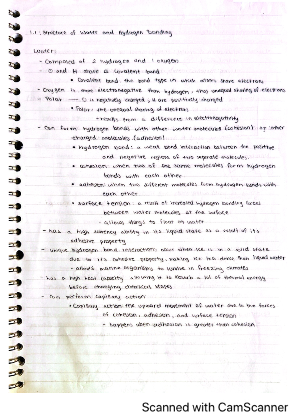 AP Biology Exam Notes: Water Structure, Macromolecules, and Cell ...