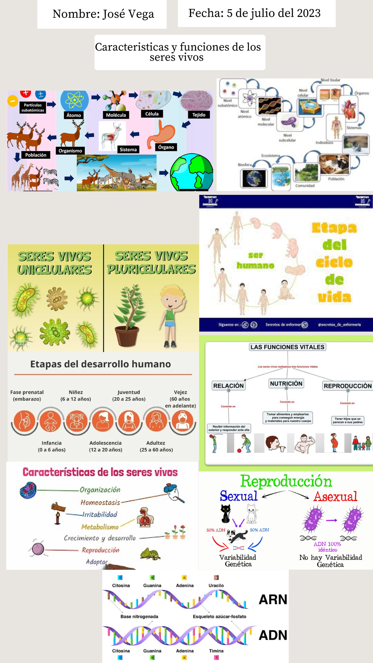 Biologia collage de las caracteristicas de los seres vivos - Biologia ...
