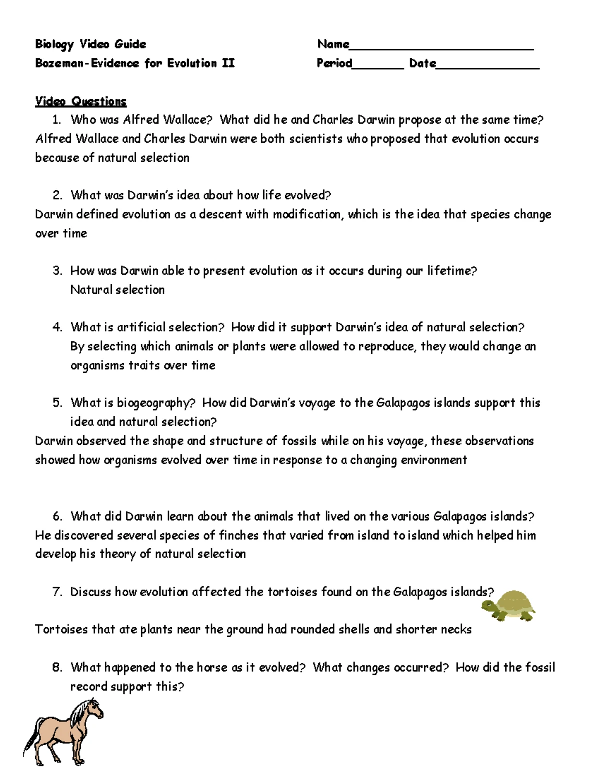 Cladograms: Video Questions Summary & Analysis for Bio 101 - Studocu