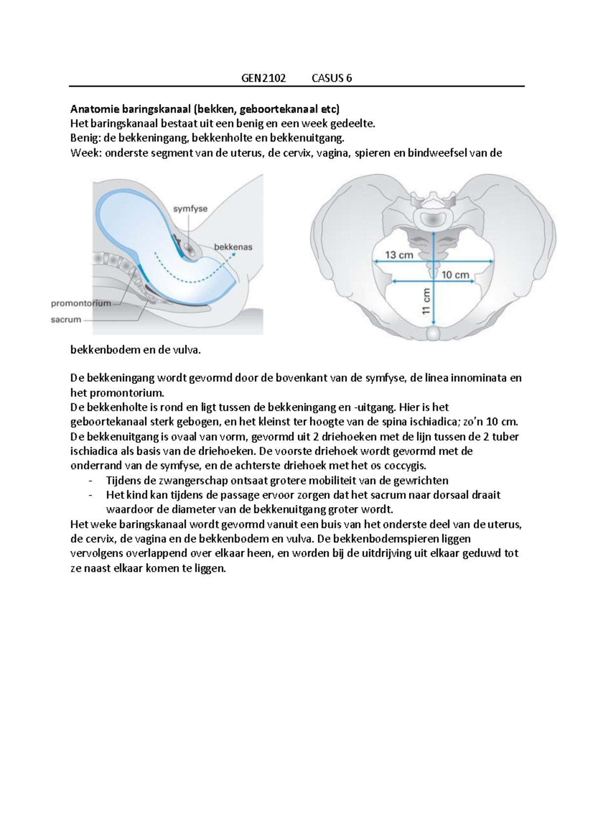 GEN2102 Casus 6: Anatomie en Fysiologie van het Baringskanaal - Studeersnel