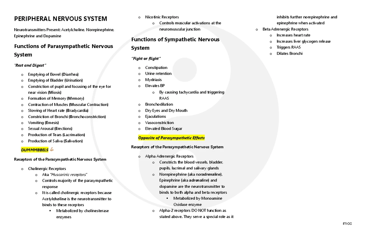 Anaphy Midterms - Summary of Skeletal System Components and Functions ...
