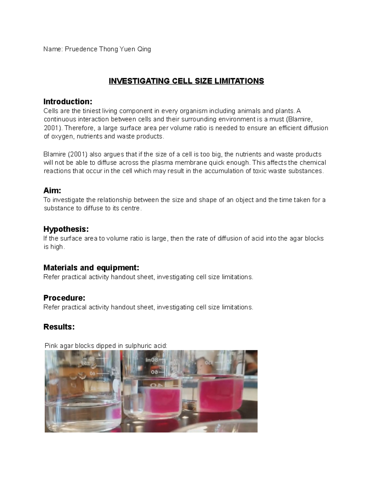 Investigating Cell Size Limitations: Diffusion and SA:V Ratio Analysis ...