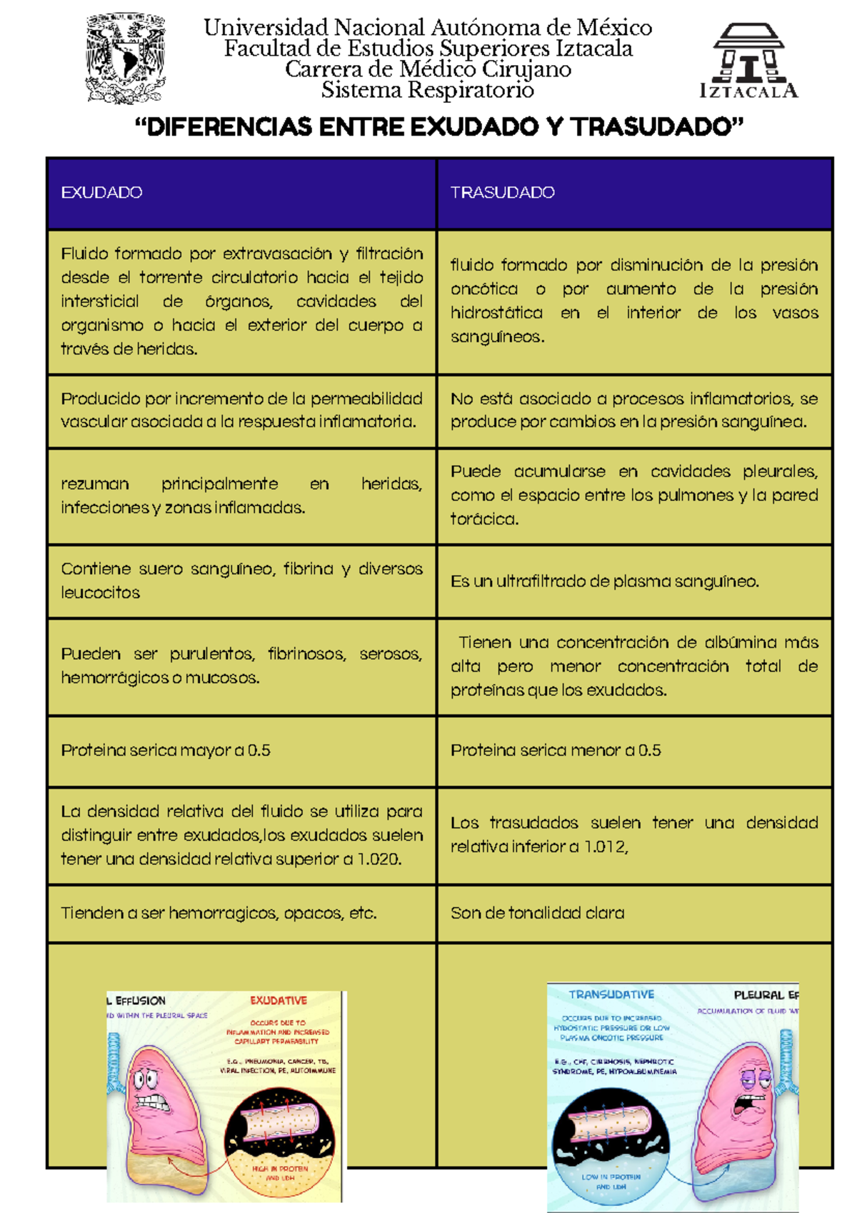 Diferencias Entre Exudado Y Trasudado: Sistema Respiratorio FESI - Studocu