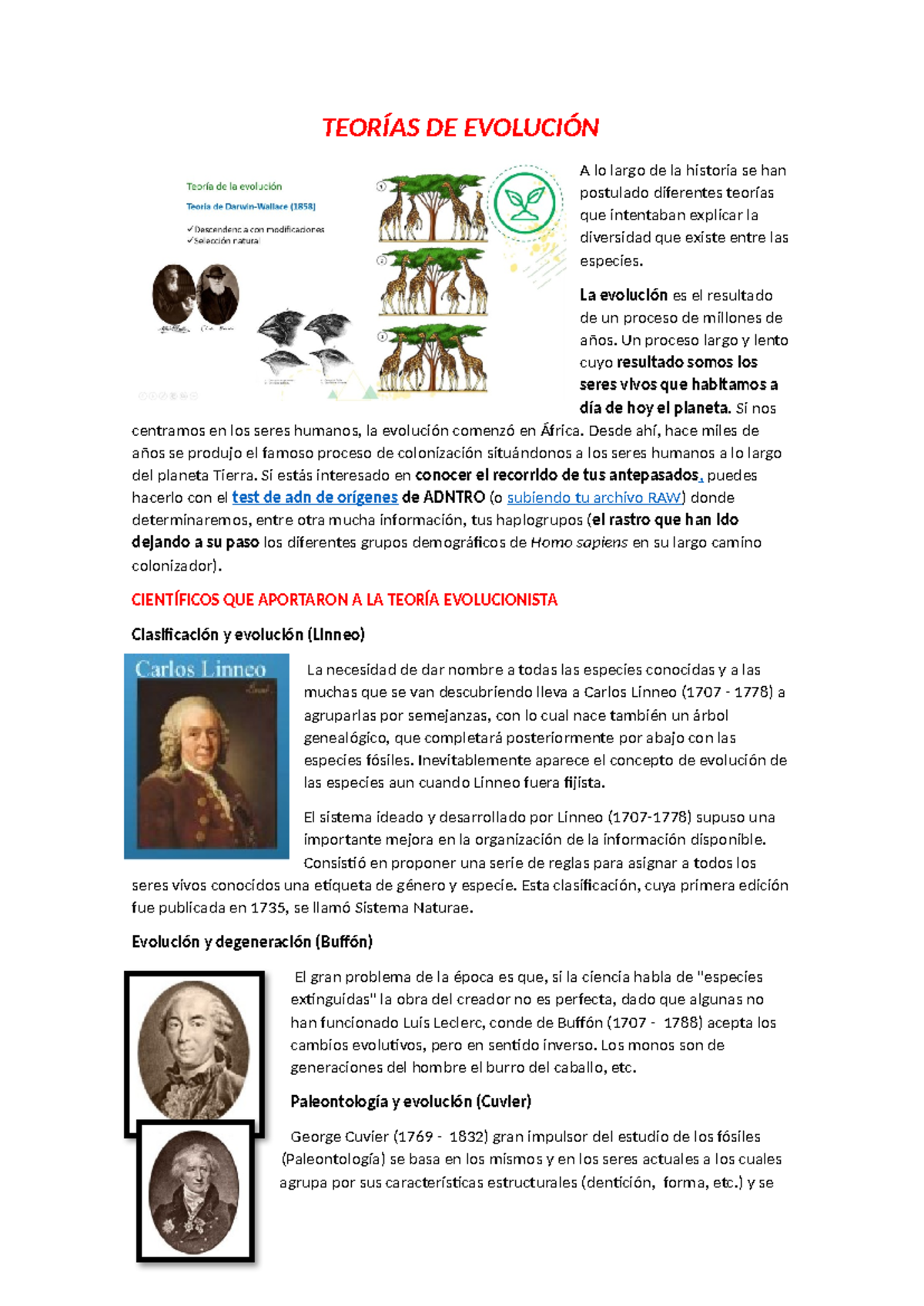 Teorías DE Evolución - resumen sobre la teoria de la evolucion ...