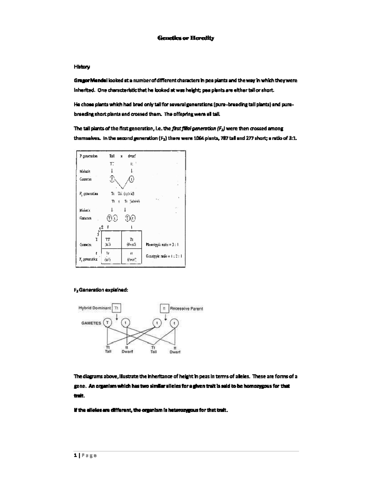 Genetics 101: Inheritance Patterns & Mendelian Concepts Handout - Studocu