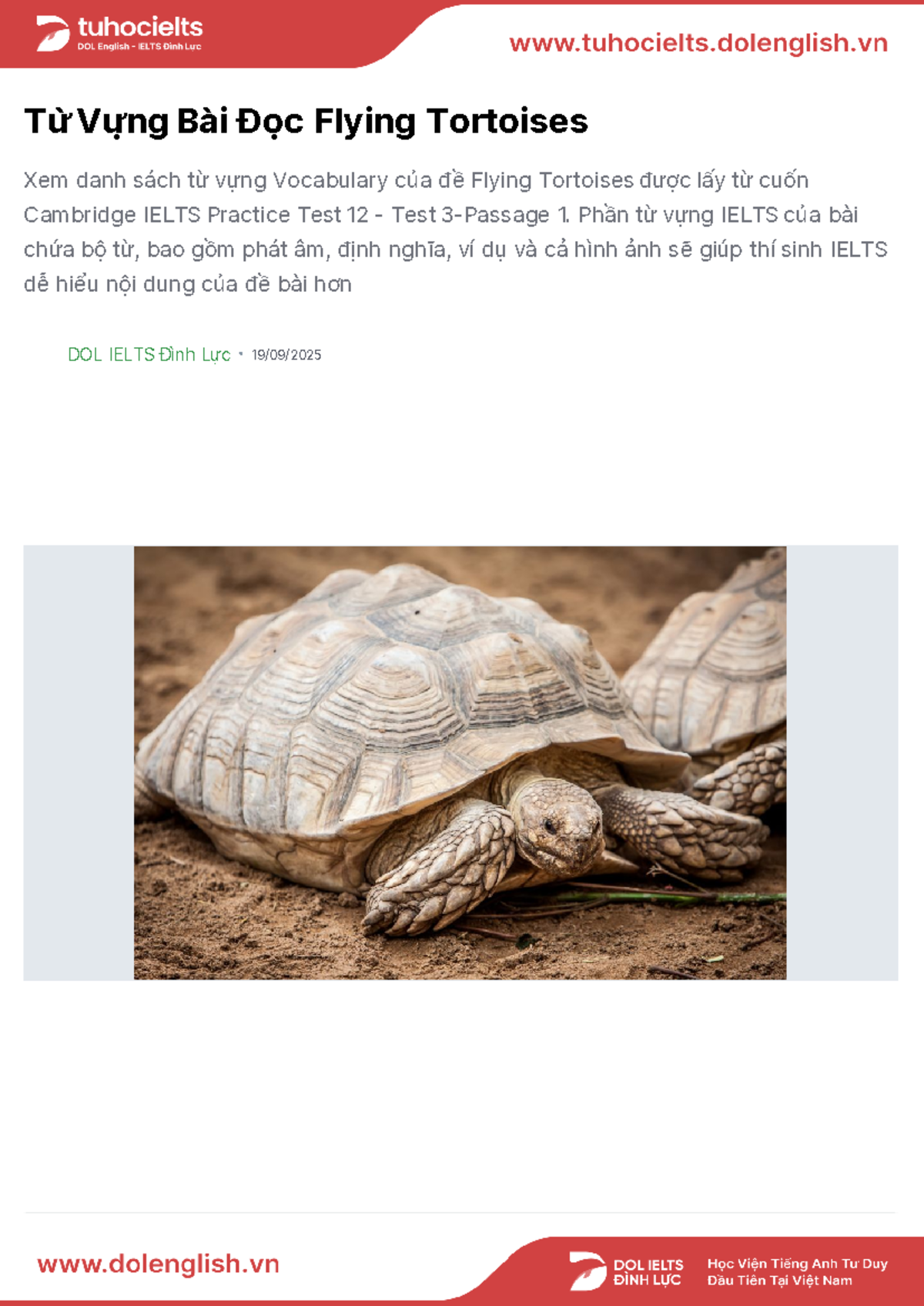 Từ Vựng IELTS: Flying Tortoises (Cambridge IELTS 12 - Test 3) - Studocu