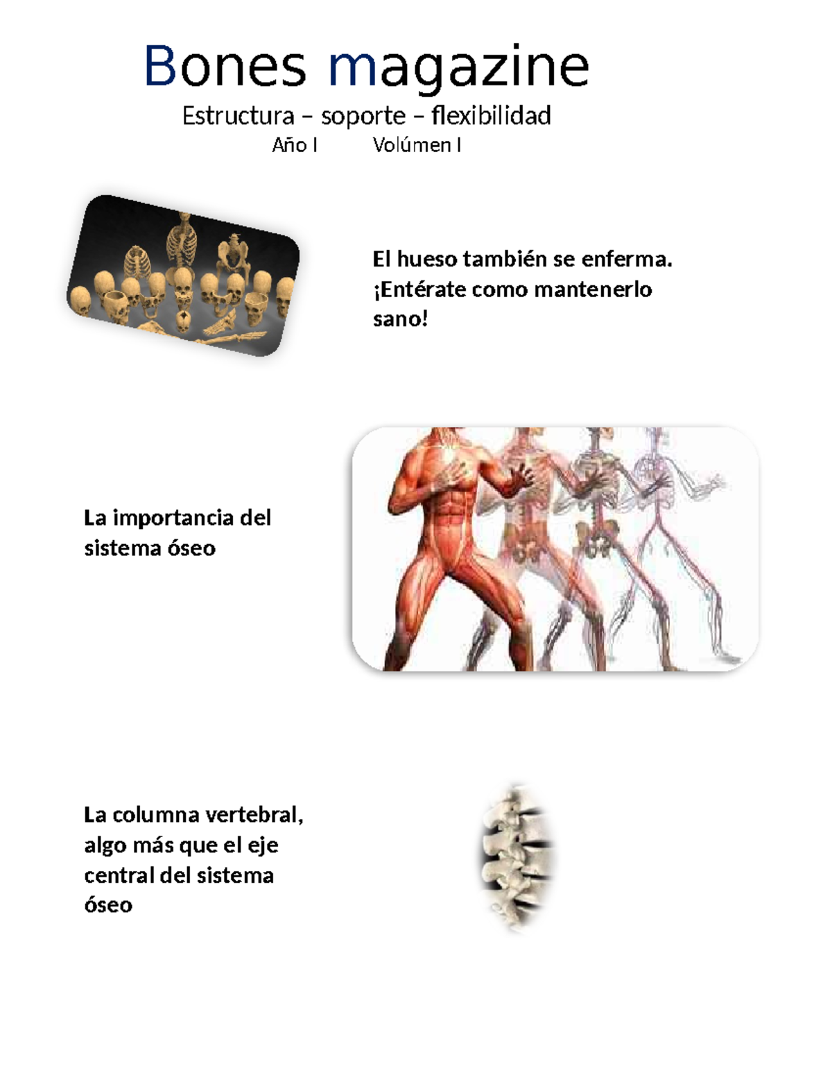 Revista Huesos: Estructura y Salud del Sistema Óseo - Año I, Vol. I ...