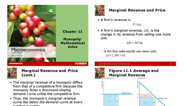 Chapter 11 - Monopoly: Marginal Revenue & Price Notes - Studocu