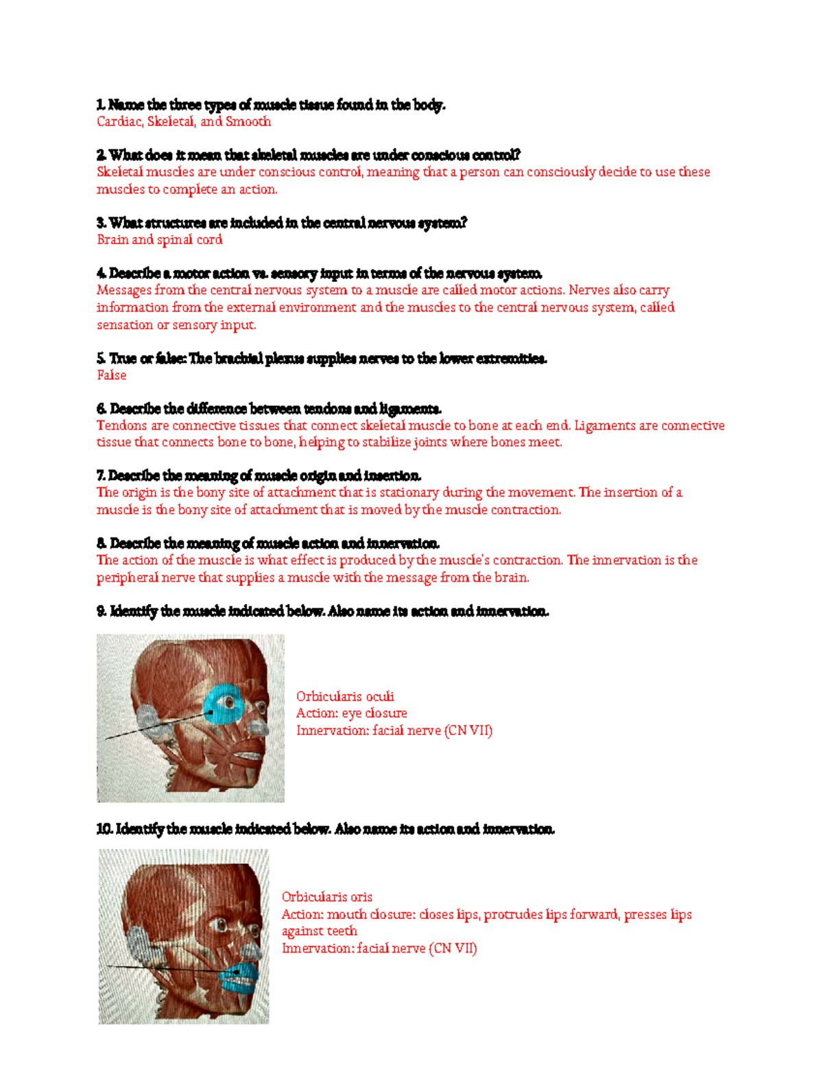 Module 5 Problem Set Key: Muscle Tissue & Nervous System Insights - Studocu