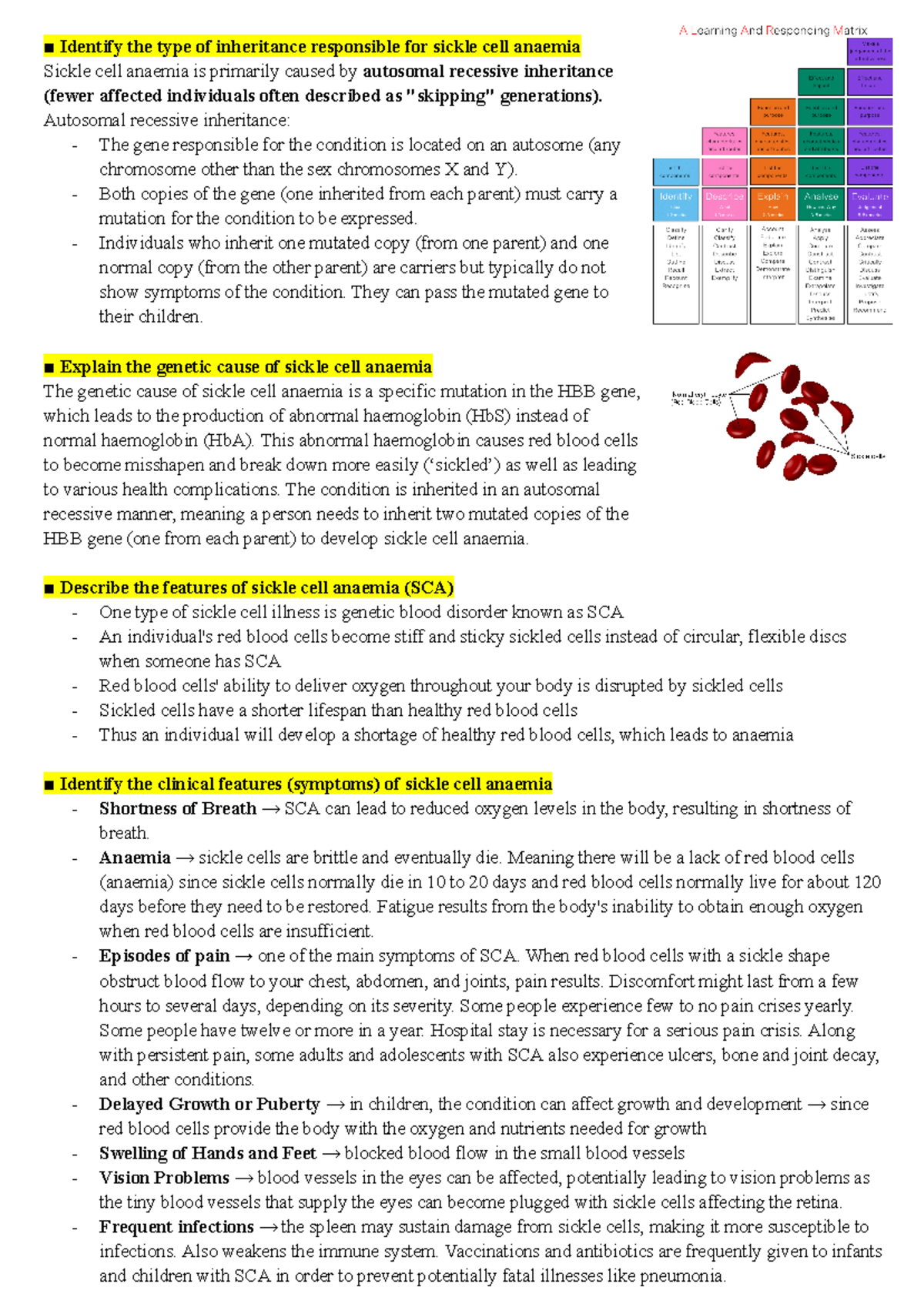 Year 12 Biology 2024 Sickle Cell Anaemia Inheritance & Implications ...