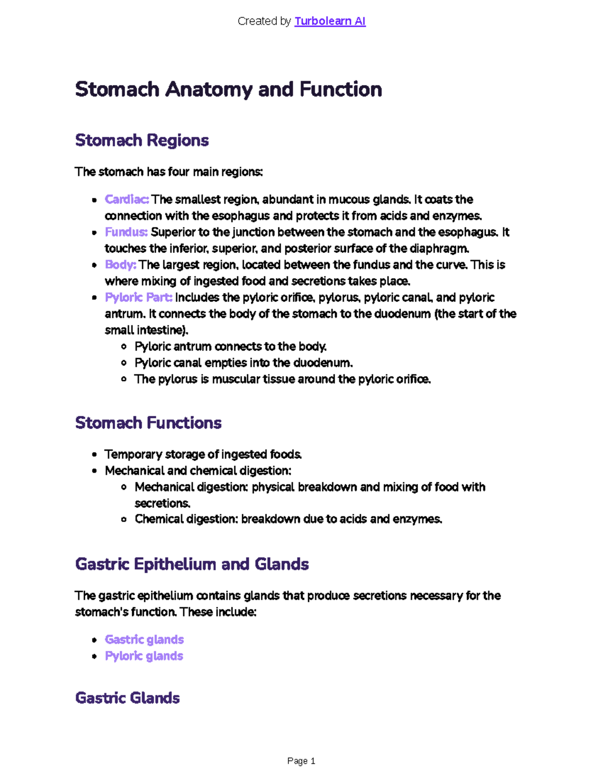 Stomach Anatomy & Function: A Comprehensive Overview (BIO101) - Studocu