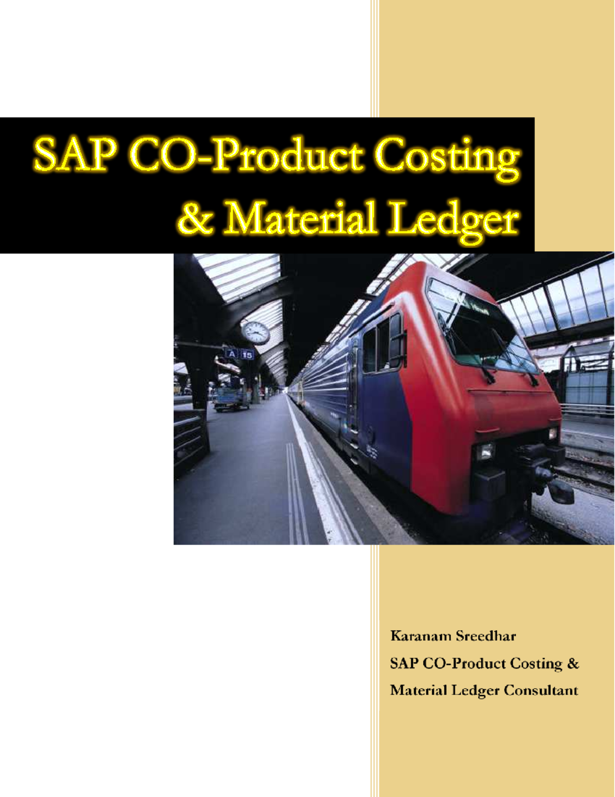 Material Ledger Actual Costing Overview and Transfer Pricing Methods ...