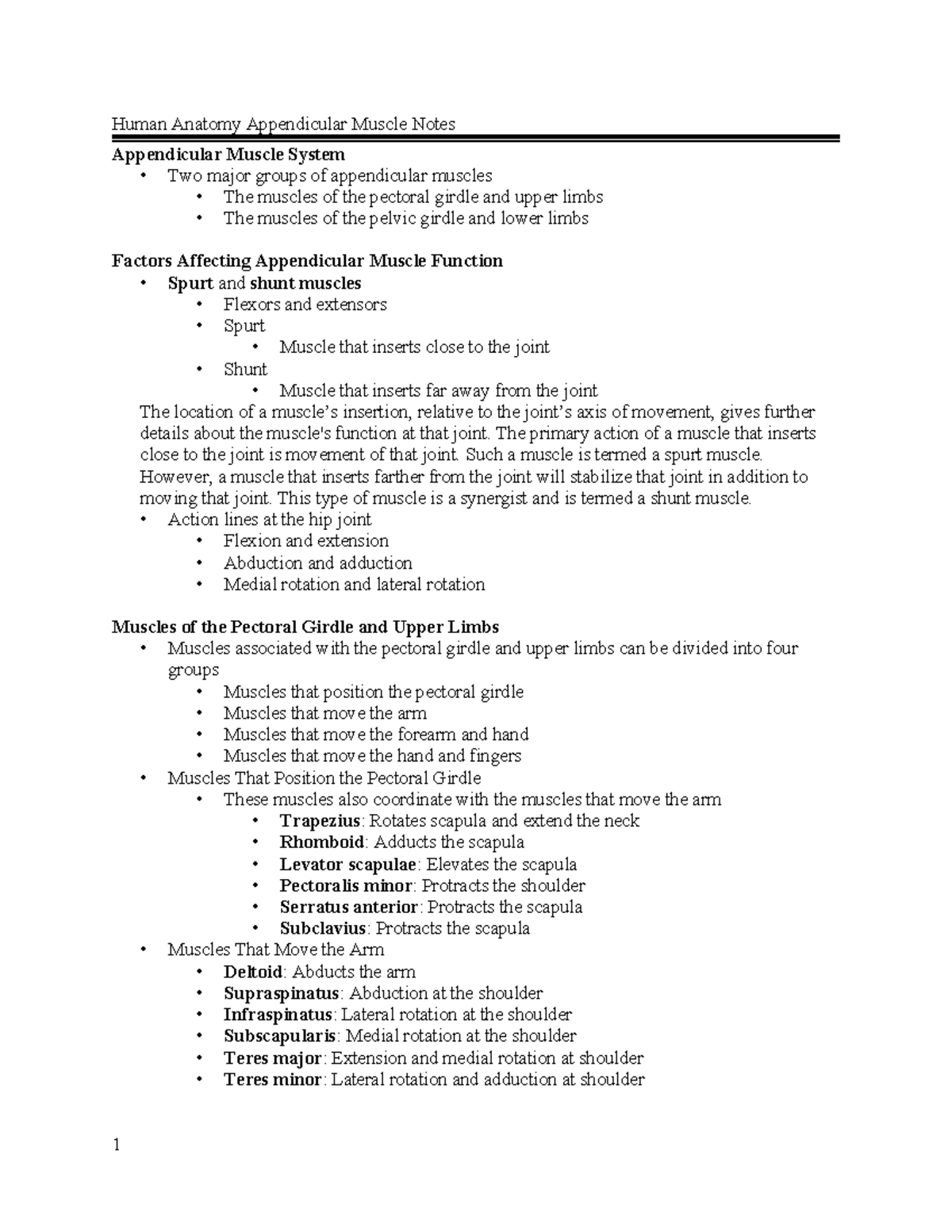 Human Anatomy: Appendicular Muscle System Overview and Function - Studocu
