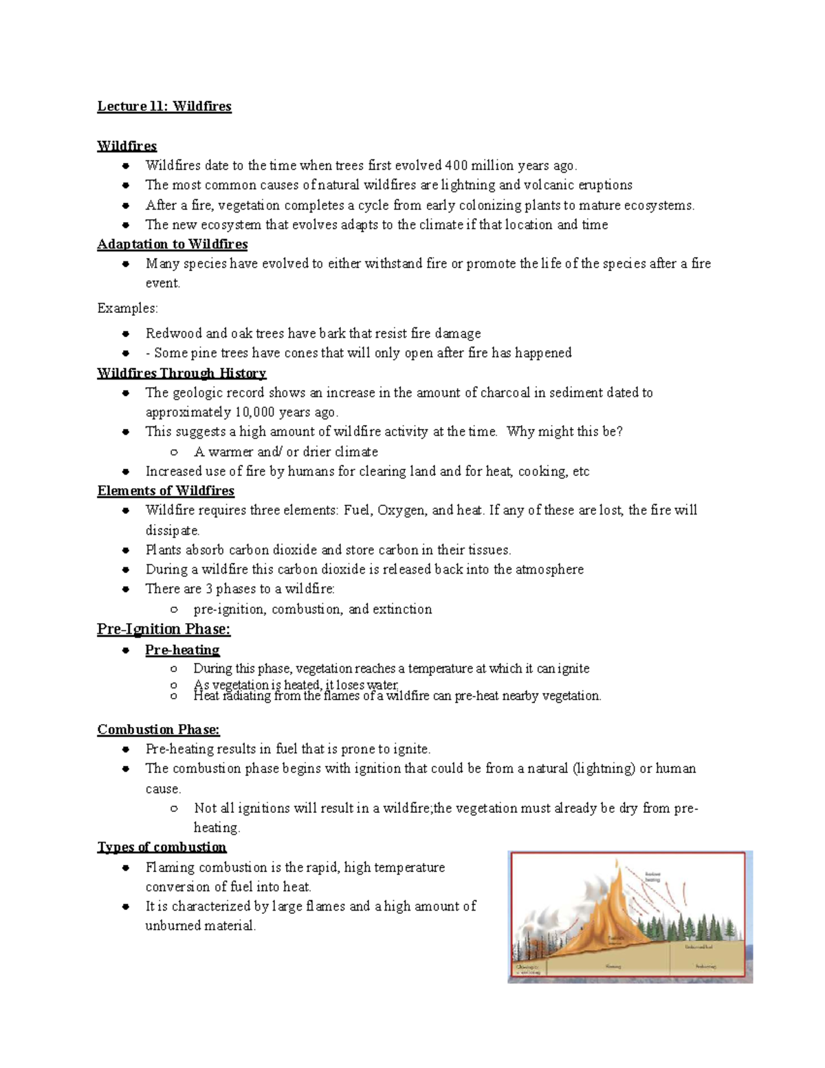 Wildfires Lecture 11: Understanding Causes, Effects, and Management ...