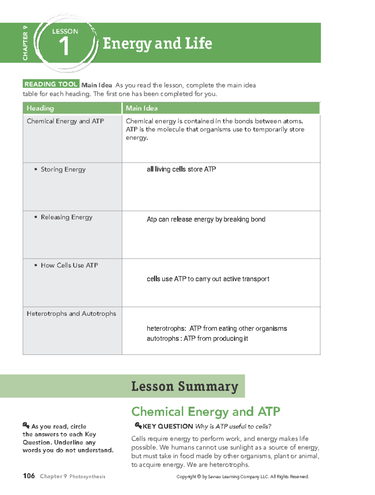 Honors Homework Chapter 9 Photosynthesis - CHAPTER ####### 9 LESSON 1 ...