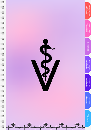 [Solved] fscia plantar formada por um tecido conjuntivo denso e ...