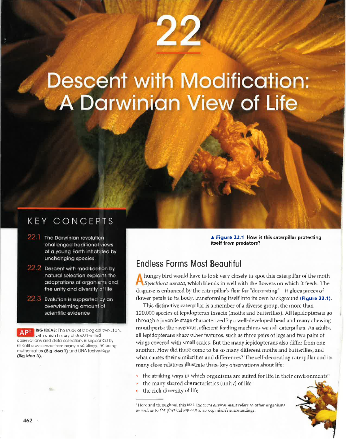 CH 22 - Descent with Modification: Key Concepts in Darwinian Evolution ...