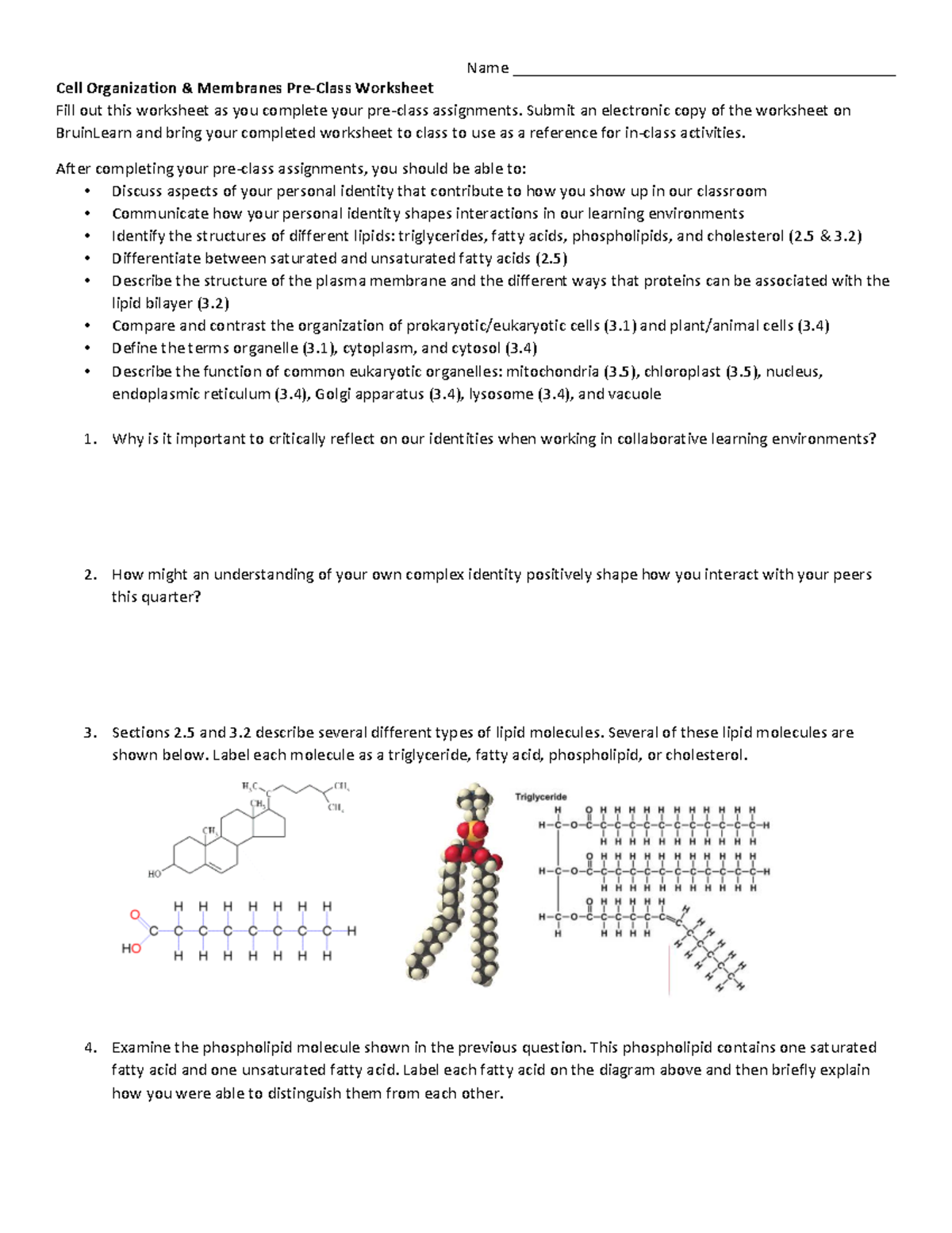 Cell Organization & Membranes Worksheet (Bio 2.5, 3.1, 3.2, 3.4, 3.5 ...