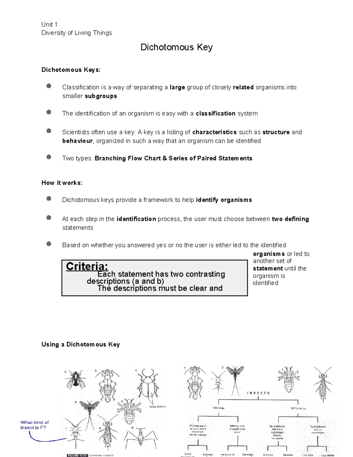 Diversity of Living Things (BIO101): Creating & Using Dichotomous Keys ...