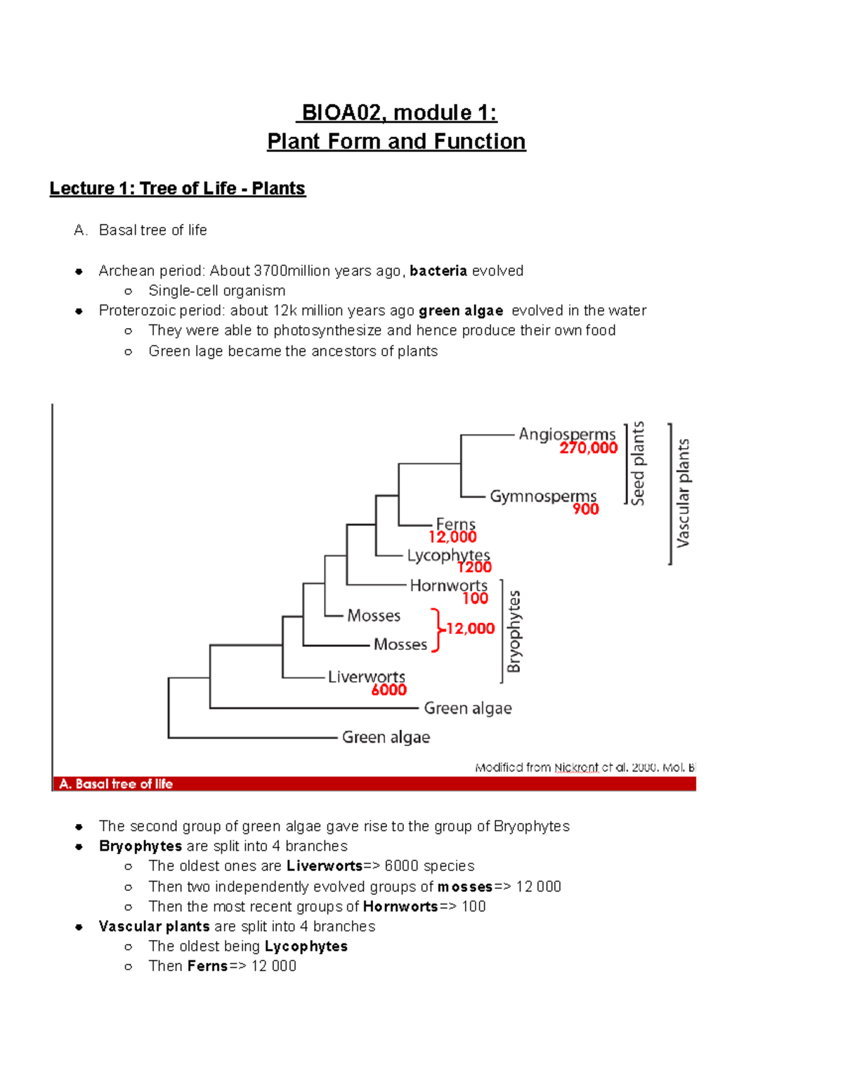 Bio A02 module 1 - BIOA02, module 1: Plant Form and Function Lecture 1 ...