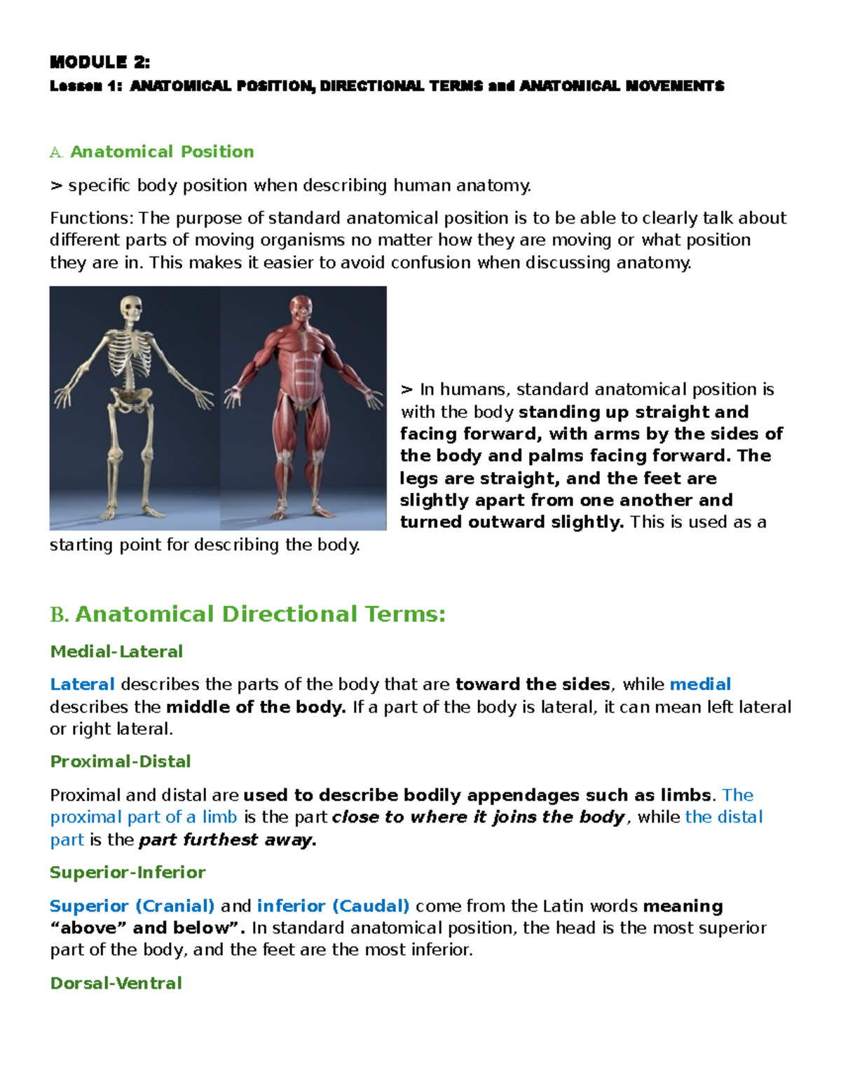 MODULE 2: Lesson 1 - Anatomical Position, Directional Terms & Movements ...
