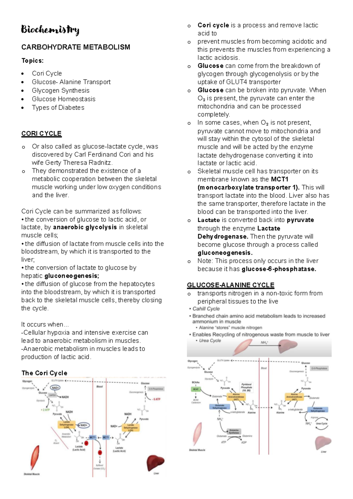 Biochemistry Midterm Study Notes: Carbohydrate & Fat Metabolism - Studocu