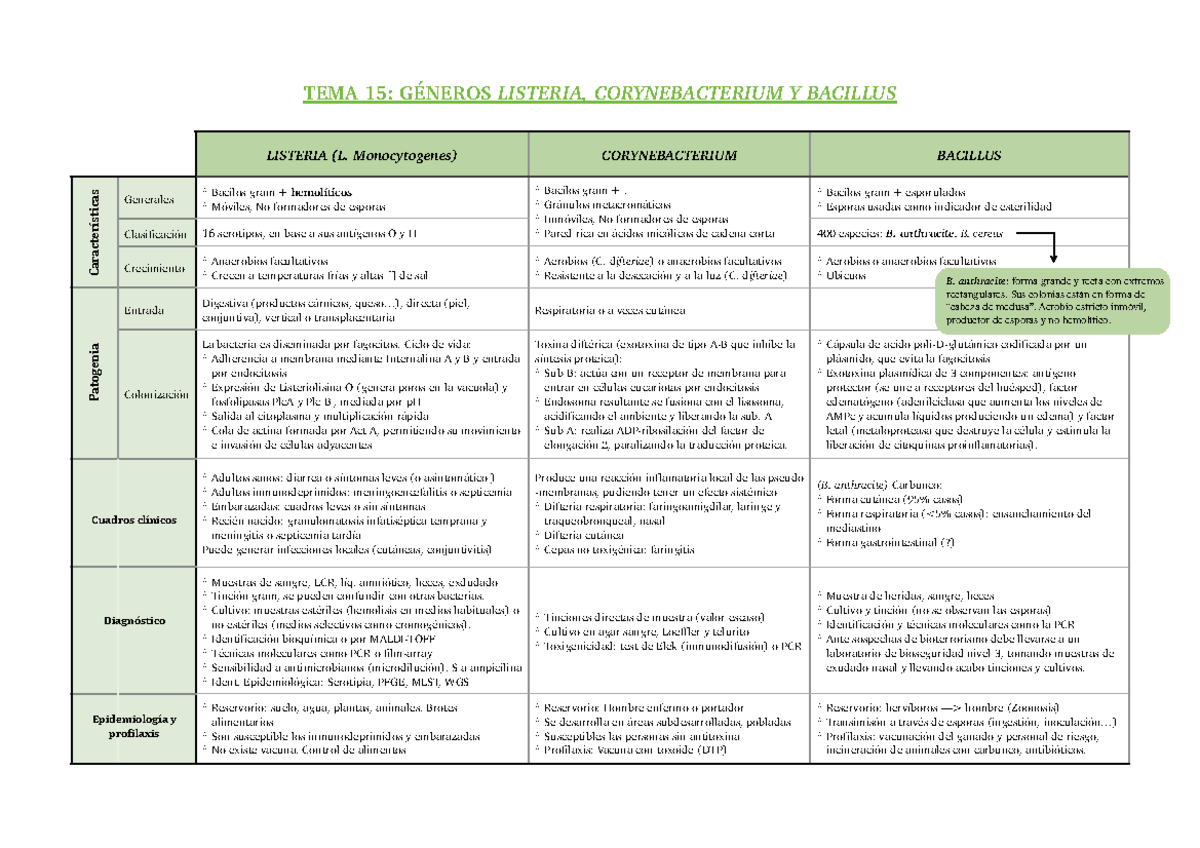 Géneros Bacterianos: Listeria, Corynebacterium y Bacillus en ...
