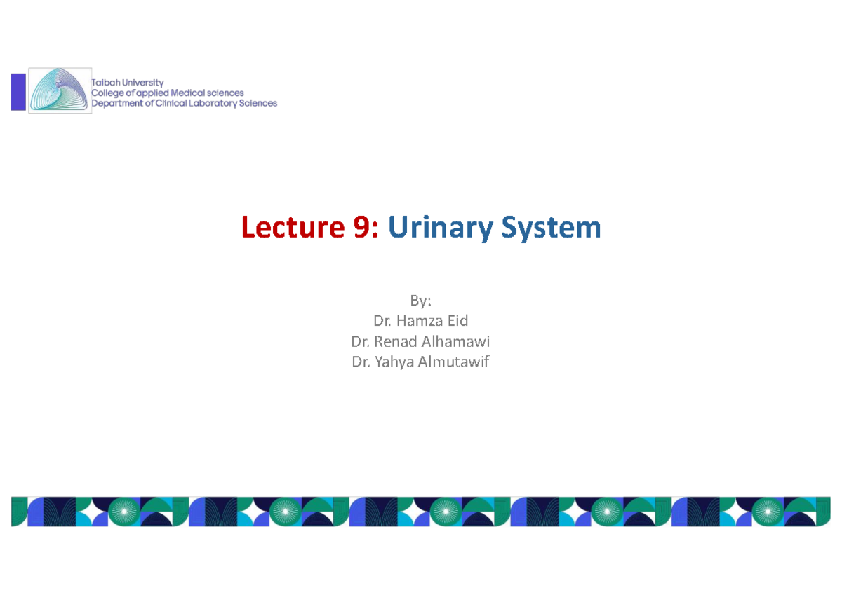 Lecture 9: Urinary System Overview and Key Concepts - Studocu