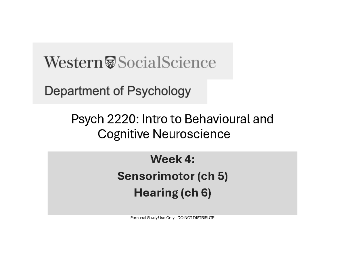 2220A 2025 Week 4: Sensorimotor System & Sensory Processing Notes - Studocu