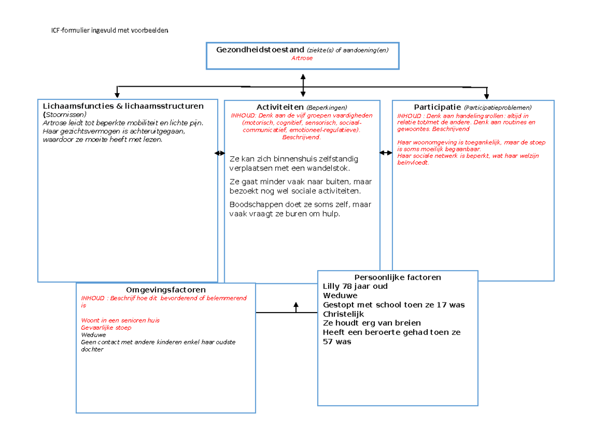 ICF Praktijles 10 - icf ingevuld les 10 - ICF-formulier ingevuld met ...