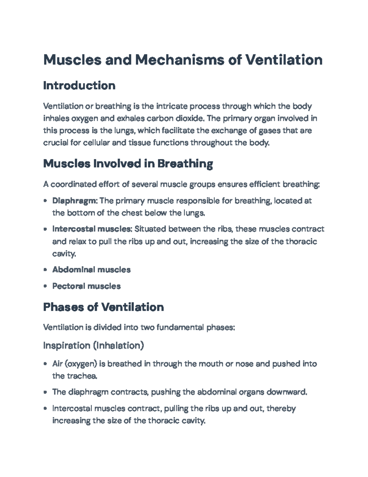 Muscles and Mechanisms of Ventilation: Anatomy and Function Details ...