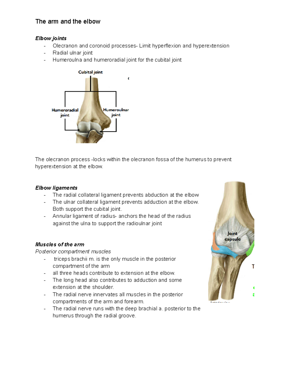 The arm and elbow - notes - The arm and the elbow Elbow joints ...