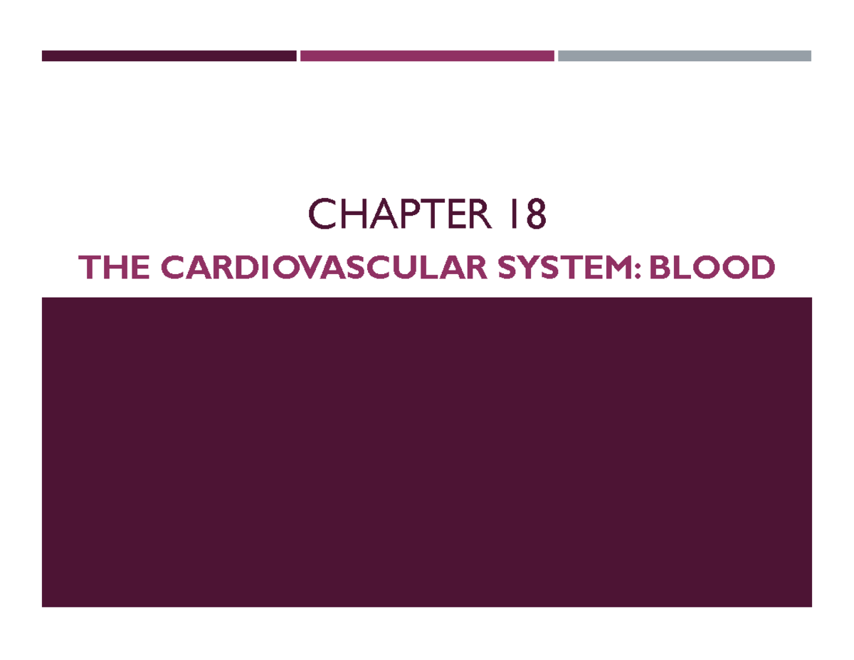 Chapter 18: The Cardiovascular System - Blood - Studocu