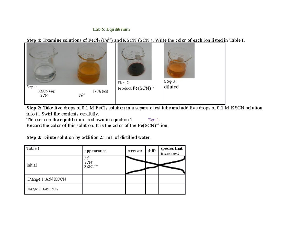 Lab 6 Equilibrium lab activity - Lab 6: Equilibrium Step 1: Examine ...
