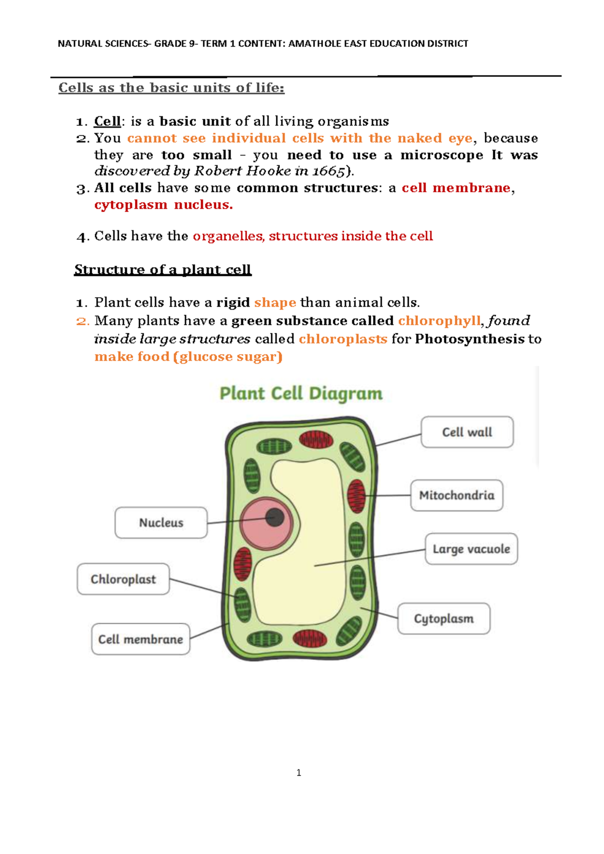 NATURAL GRADE 9 TERM 1: Plant & Animal Cell Overview - Studocu