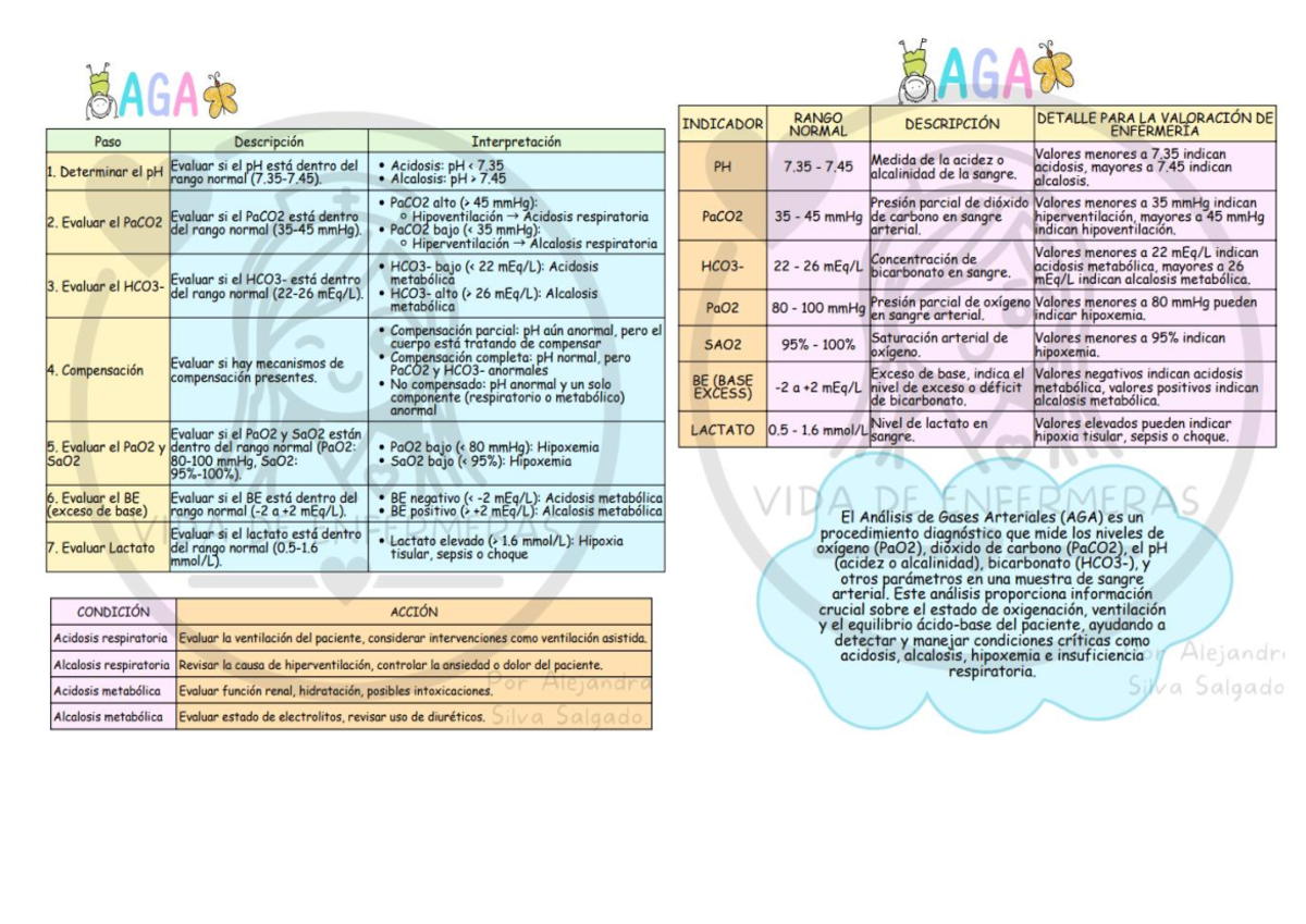 AGA: Indicadores y Evaluación de Gases Arteriales en Enfermería - Studocu