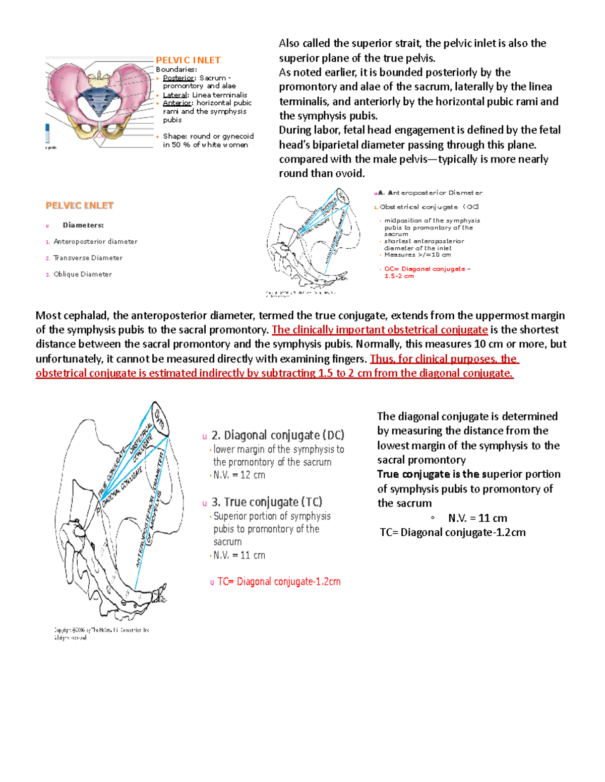 Bony - bony pelvic - Also called the superior strait, the pelvic inlet ...