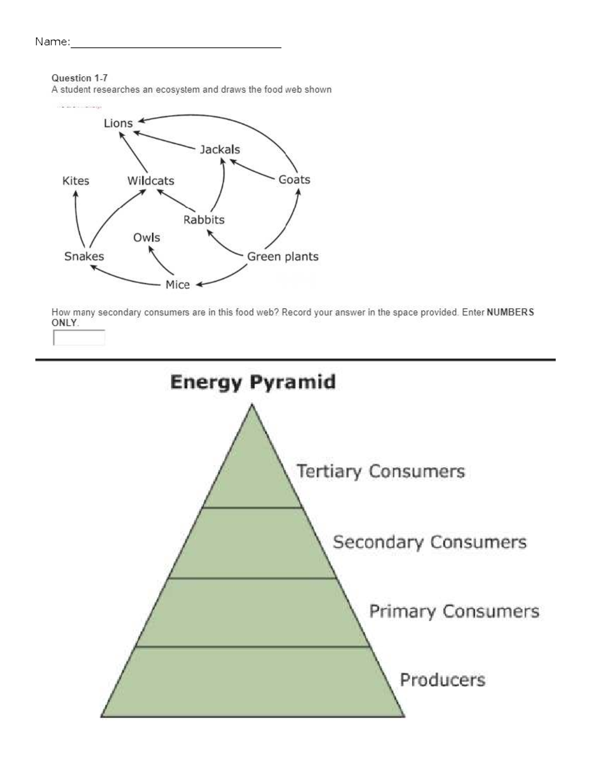 8th Food Webs-Chains-Energy 7 - Name: Question A student researches an ...