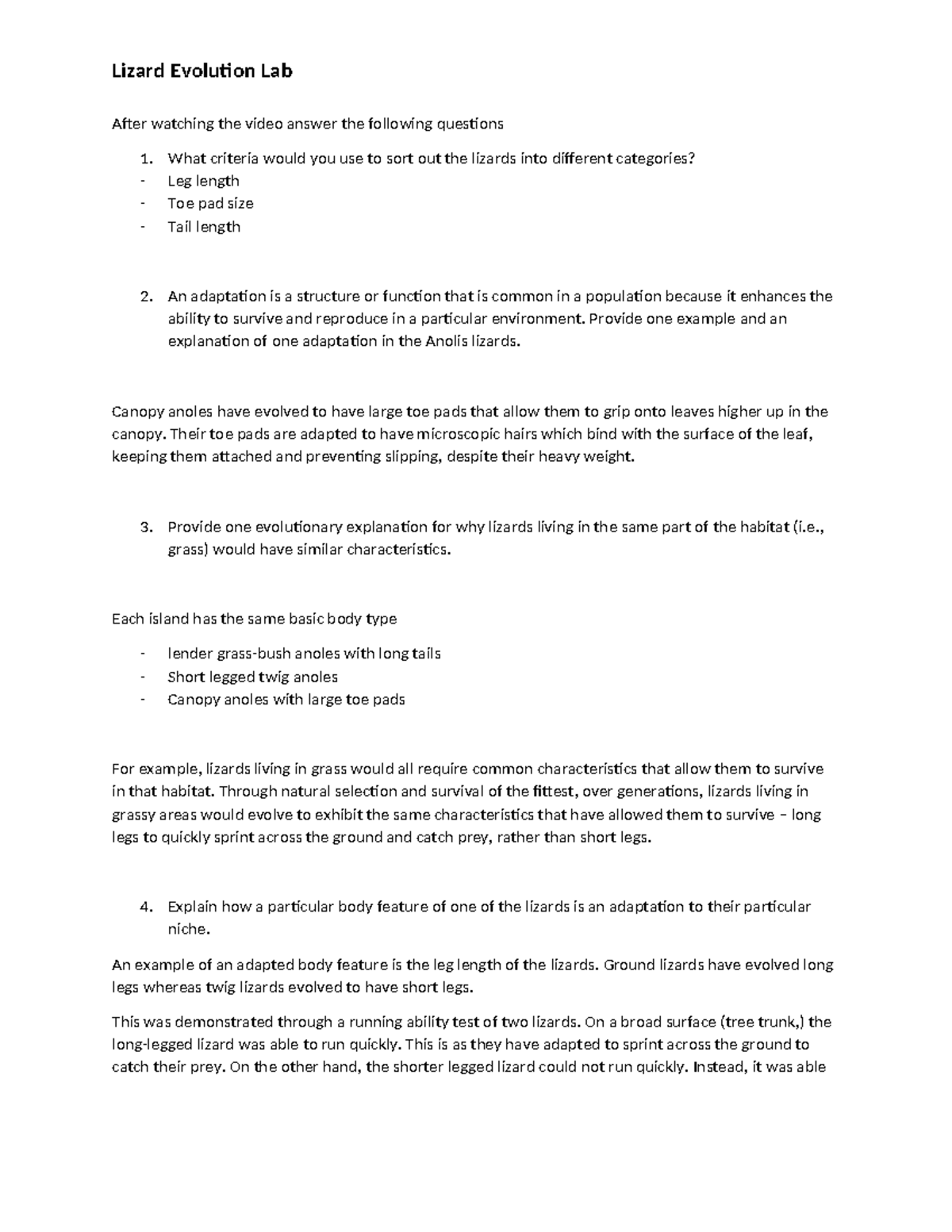Anole Lizard Evolution Lab Worksheet: Adaptations & Natural Selection ...