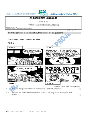 Cartoons and Advertisement Questions - ENGLISH HOME LANGUAGE GRADE 12 ...