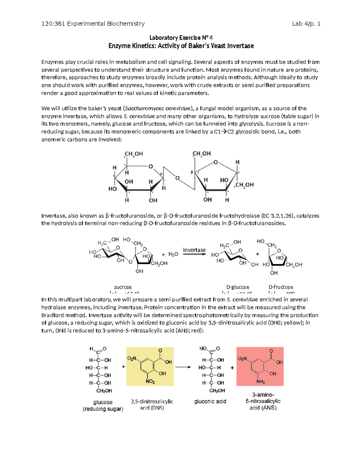 Enzyme Kinetics Lab 4: Activity of Baker’s Yeast Invertase Procedures ...
