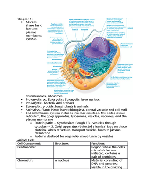 eScience Lab 6: Diffusion - Pre-Lab Questions A concentration gradient ...