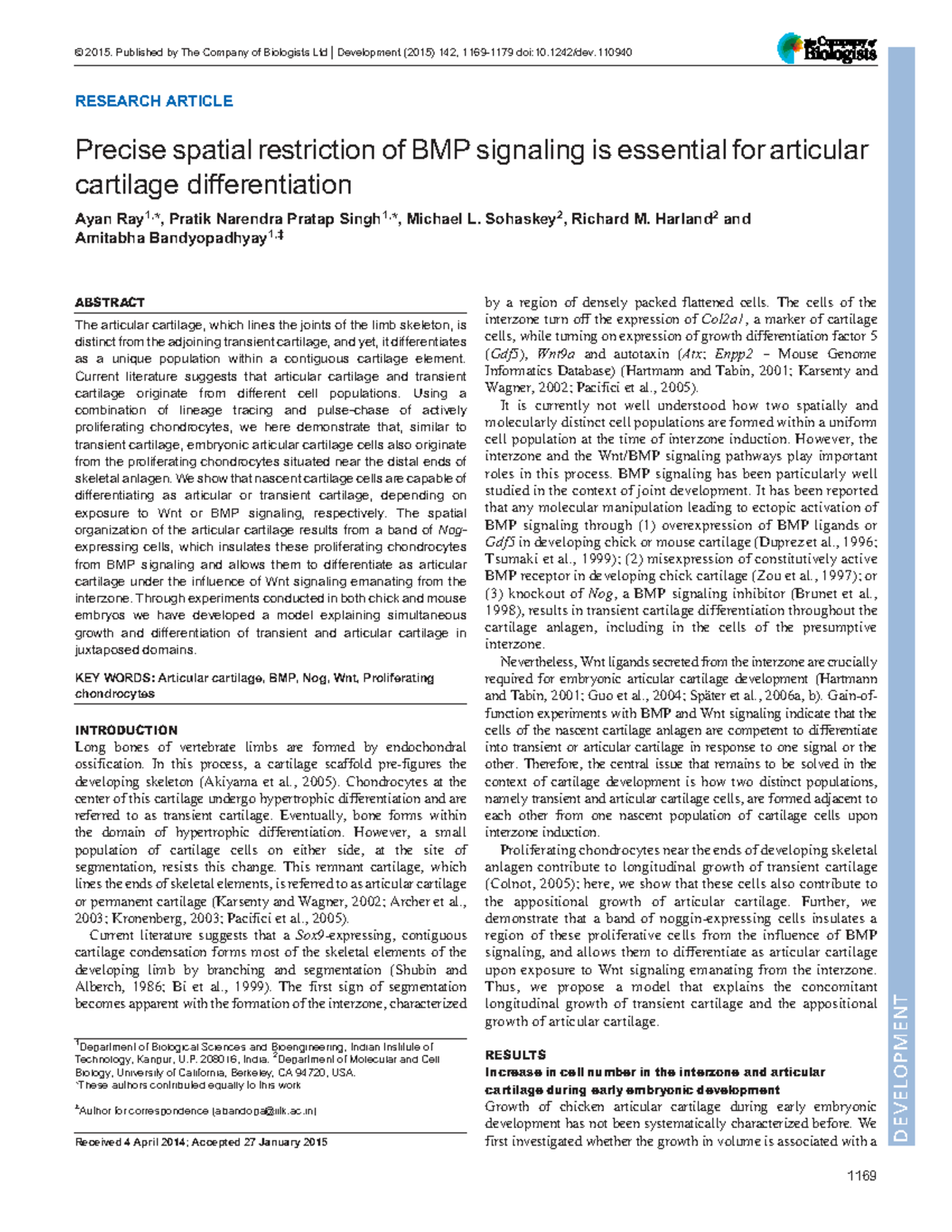 Articular Cartilage Development: BMP Signaling and Chondrocyte ...