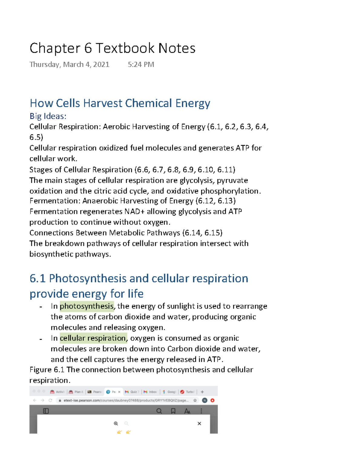 Chapter 6 Notes: Cellular Respiration & Energy Harvesting (BIO101 ...