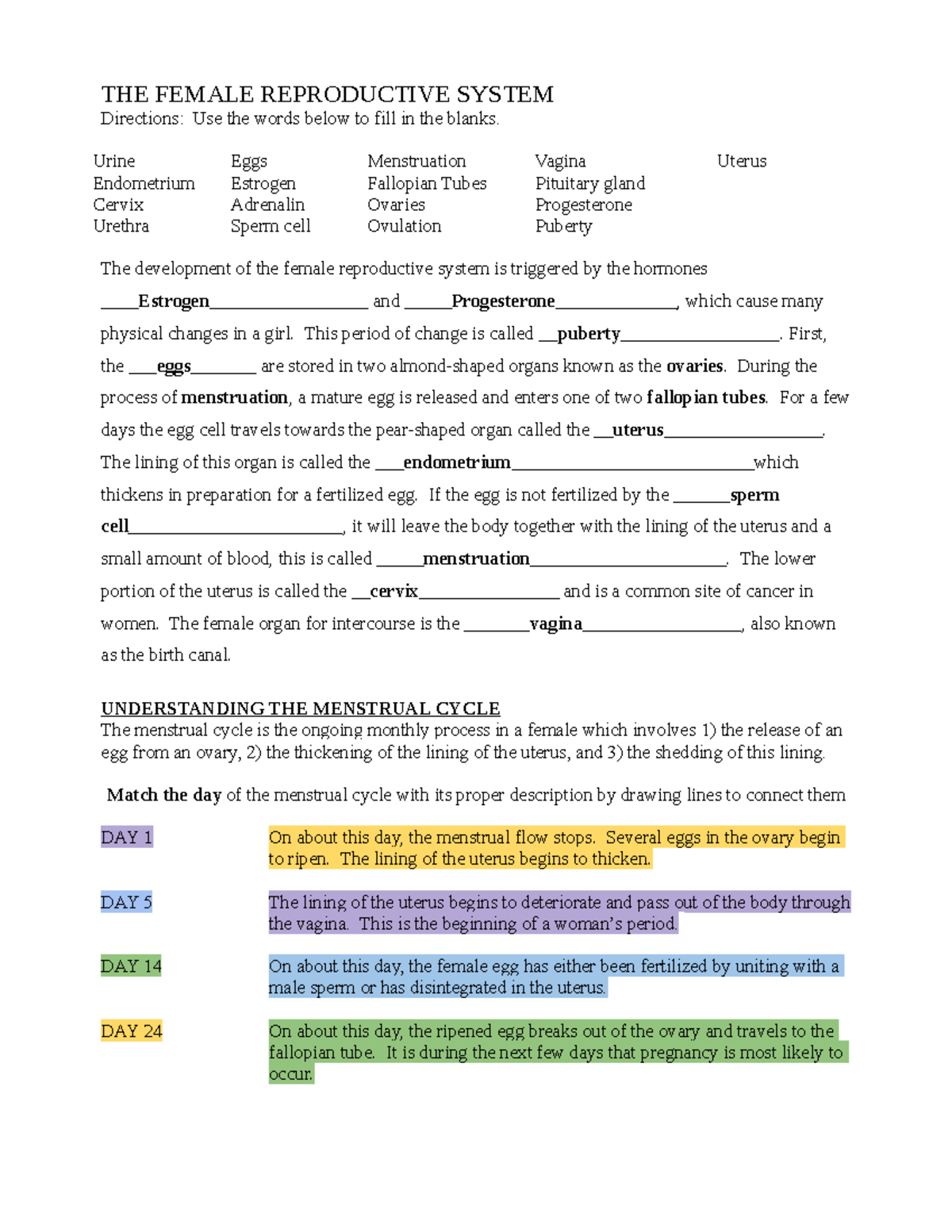Female reproductive system - THE FEMALE REPRODUCTIVE SYSTEM Directions ...