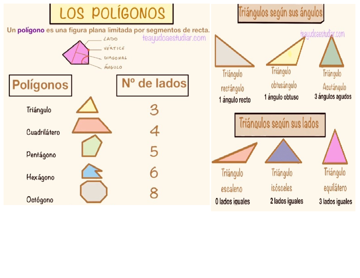 LOS POLÍGONOS: Triángulos y Cuadriláteros según sus Ángulos - Studocu