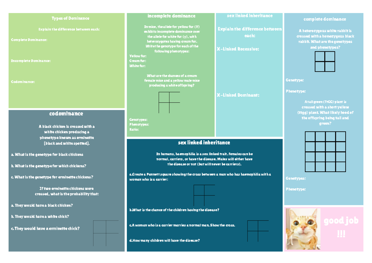 Types of Dominance: Complete, Incomplete, and Codominance Explained ...